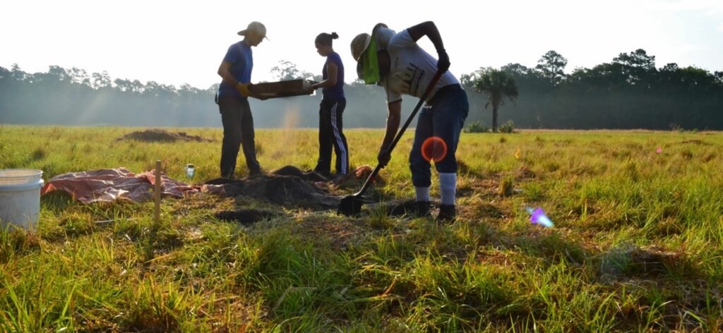 BCF_Excavation_2 - Coastal Georgia Historical Society